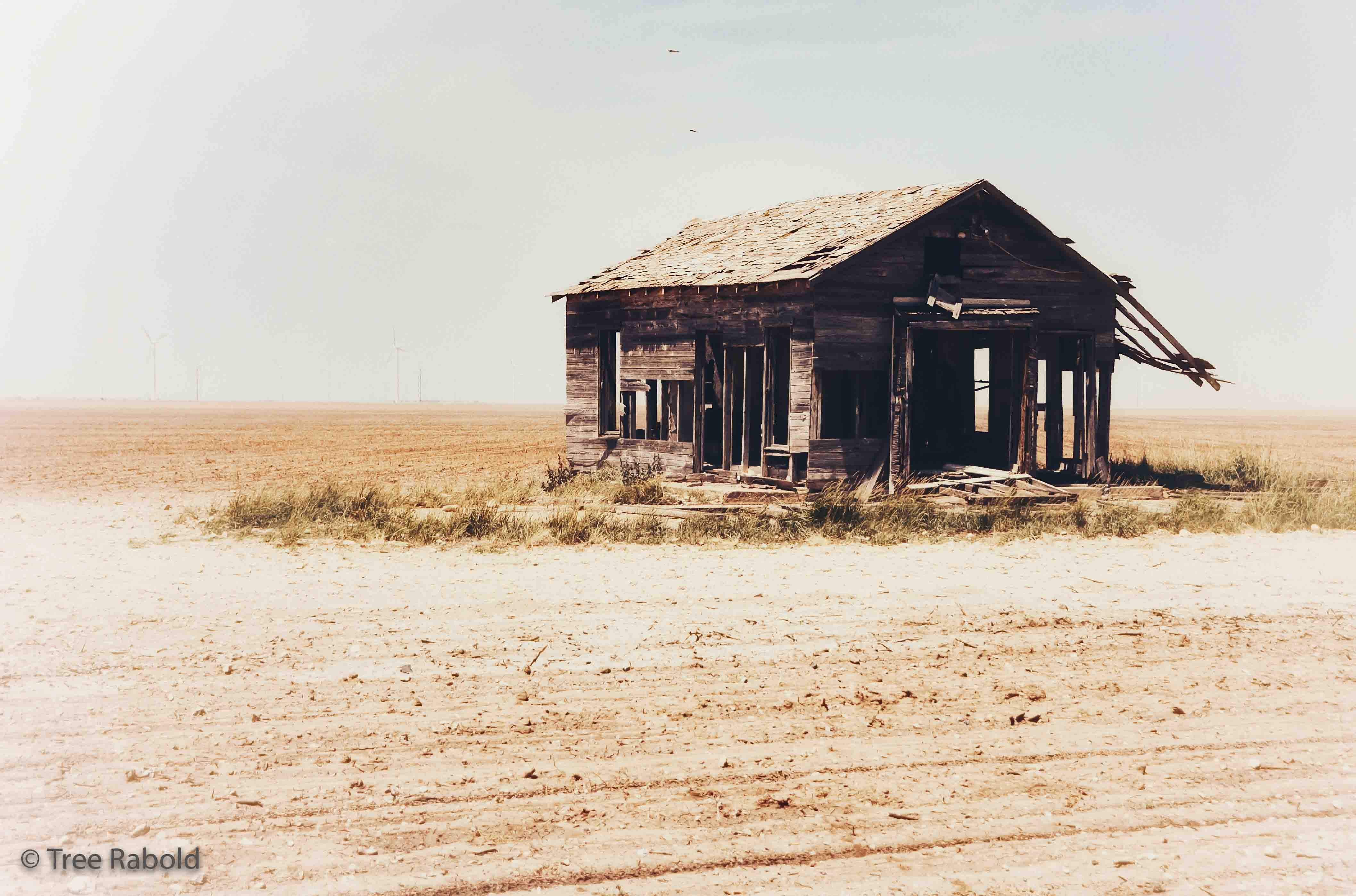 Trip to Snyder Texas… | Conversations Around the Tree